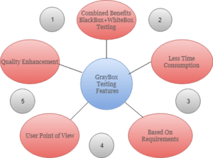 A Complete Guide To Gray Box Testing In Software Testing - Syntax Minds